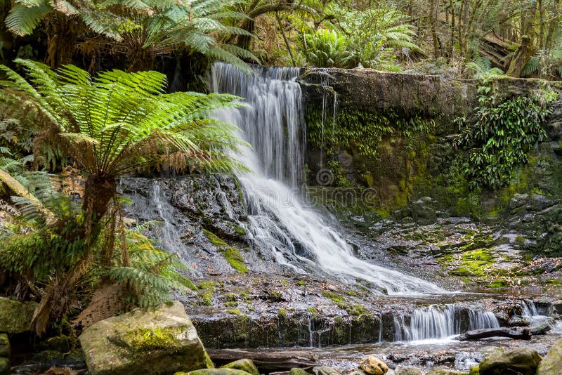 Waterfall in Tasmania stock photo. Image of interest, fall - 6688728