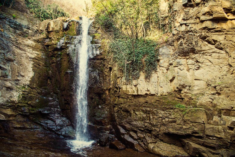 Waterfall in Tbilisi stock photo. Image of vegetation - 92490274