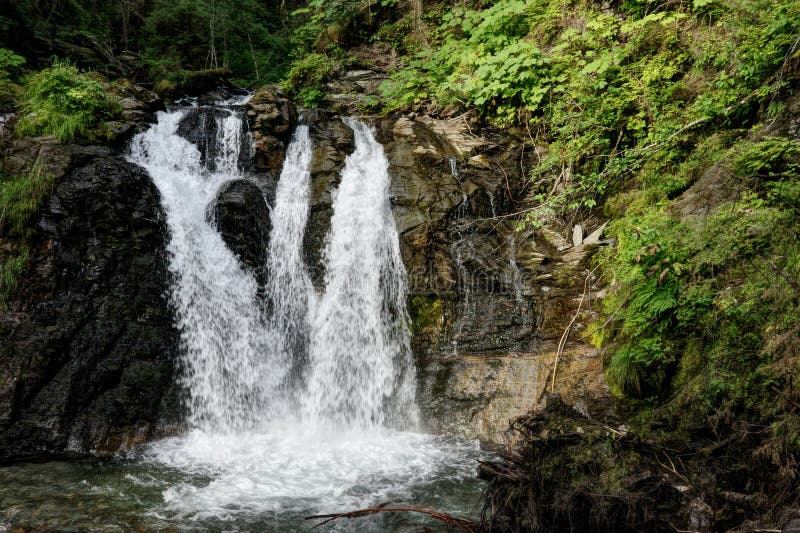 Waterfall in Temperate Rainforest in Southeast Alaska Stock Image ...