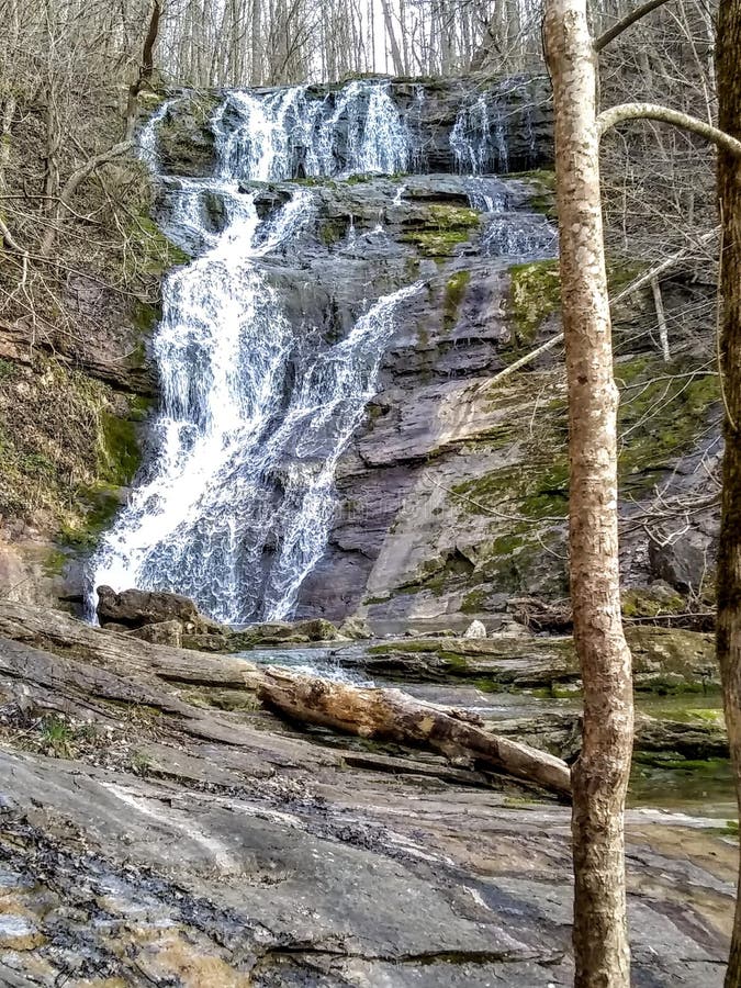 Backwoods Stock Photos - Download 4,686 Royalty Free Photos