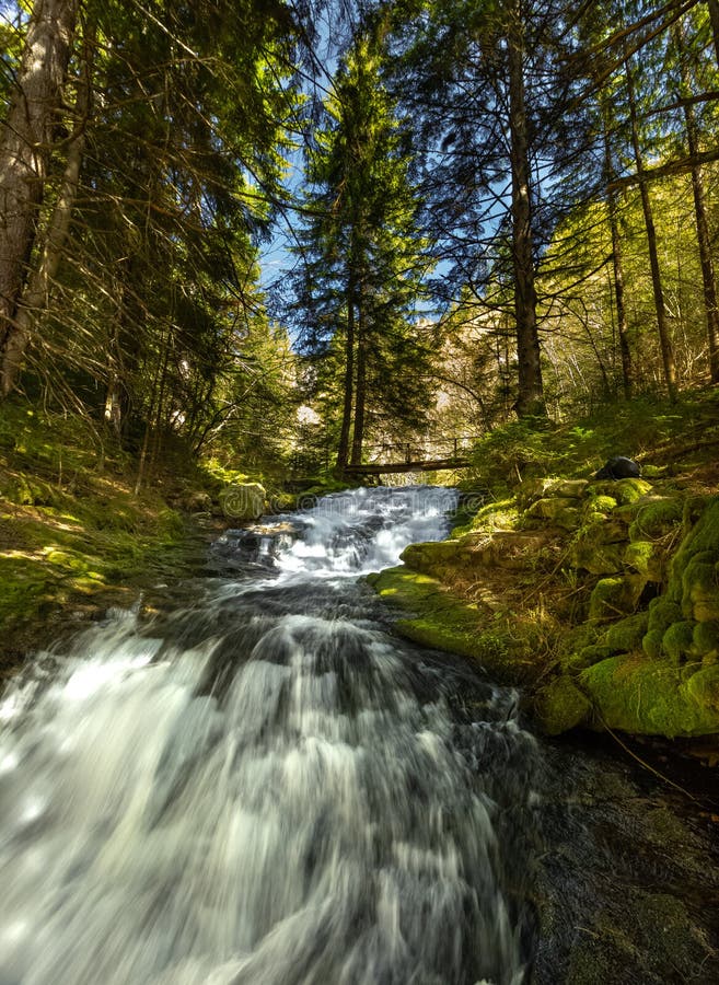 Waterfall from the top stock image. Image of forest - 187712363