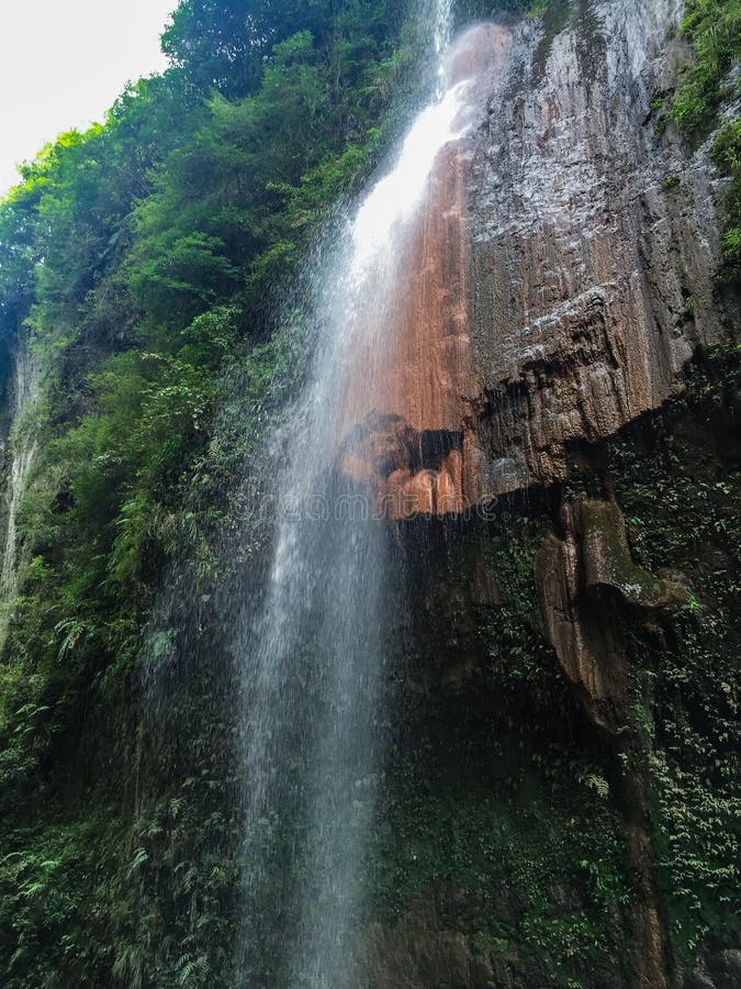 Waterfall from the Top of the Hill Down To the Ocean Surrounded with ...