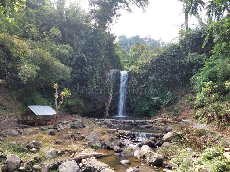 Waterfall Tourist Photos with Green Atmosphere Stock Image - Image of ...