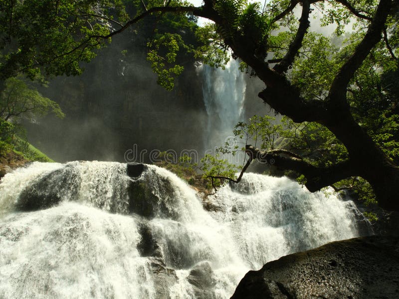 A Waterfall with a Tree in the Background Stock Photo - Image of green ...