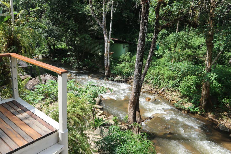 Waterfall and Tree in the Forest and House Near Waterfall or River ...