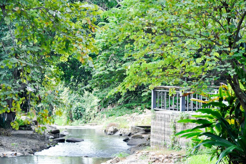 Waterfall and Tree in the Forest and House or Terrace Near Waterfall ...