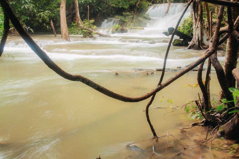 Waterfall and tree. stock photo. Image of fresh, splash - 123622144