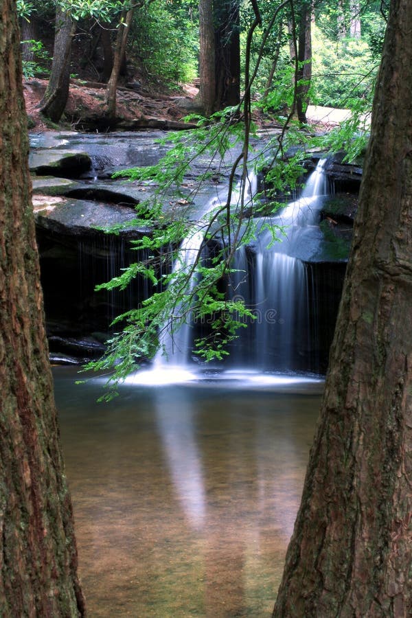 Waterfall through the Trees Stock Image - Image of stone, river: 1390993