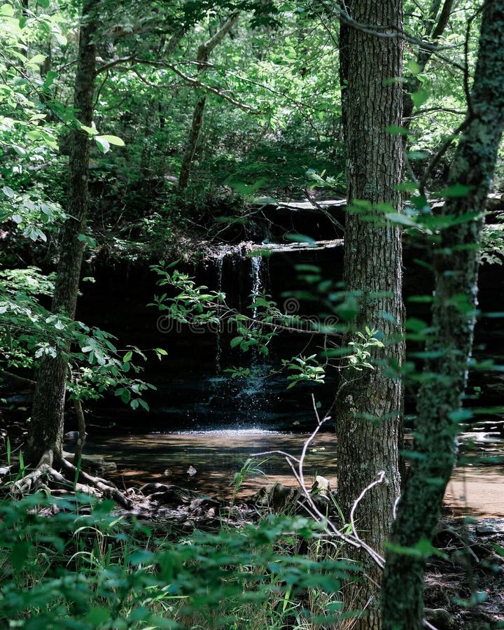 Waterfall through the Trees Stock Image - Image of naturalframe ...