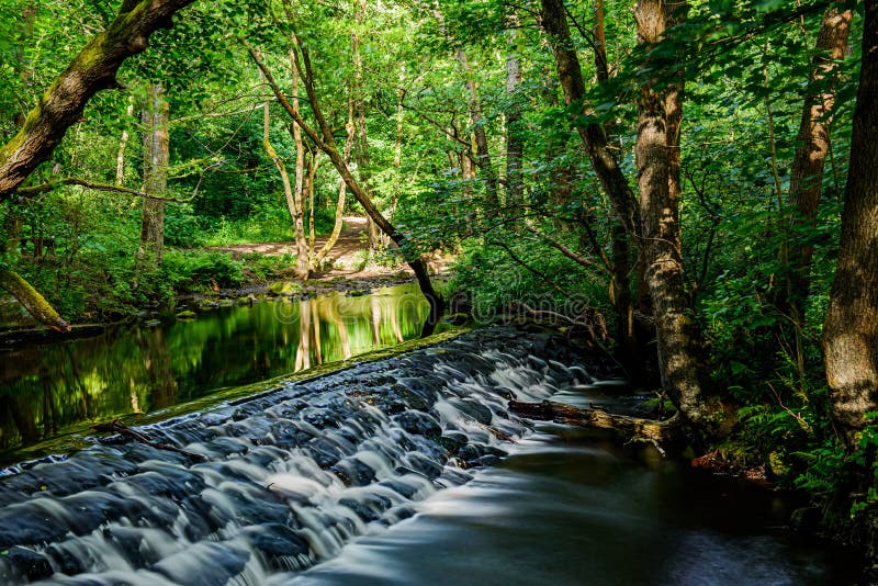 Waterfall among Trees, Long Exposure, Stock Photo - Image of wilderness ...
