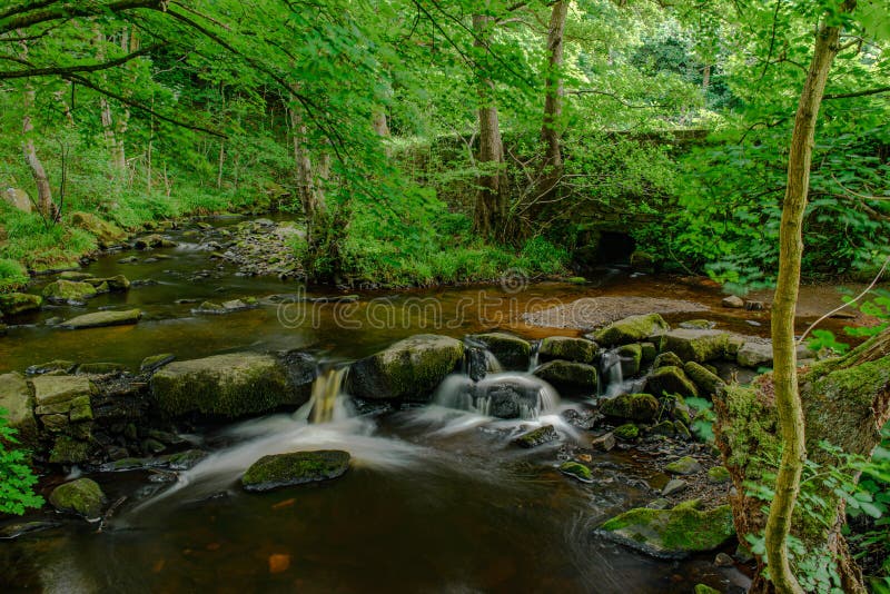 Waterfall among Trees, Long Exposure, Stock Image - Image of trees ...