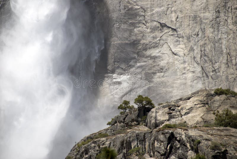 Waterfall and Trees on Rock Face Stock Photo - Image of rock, point ...