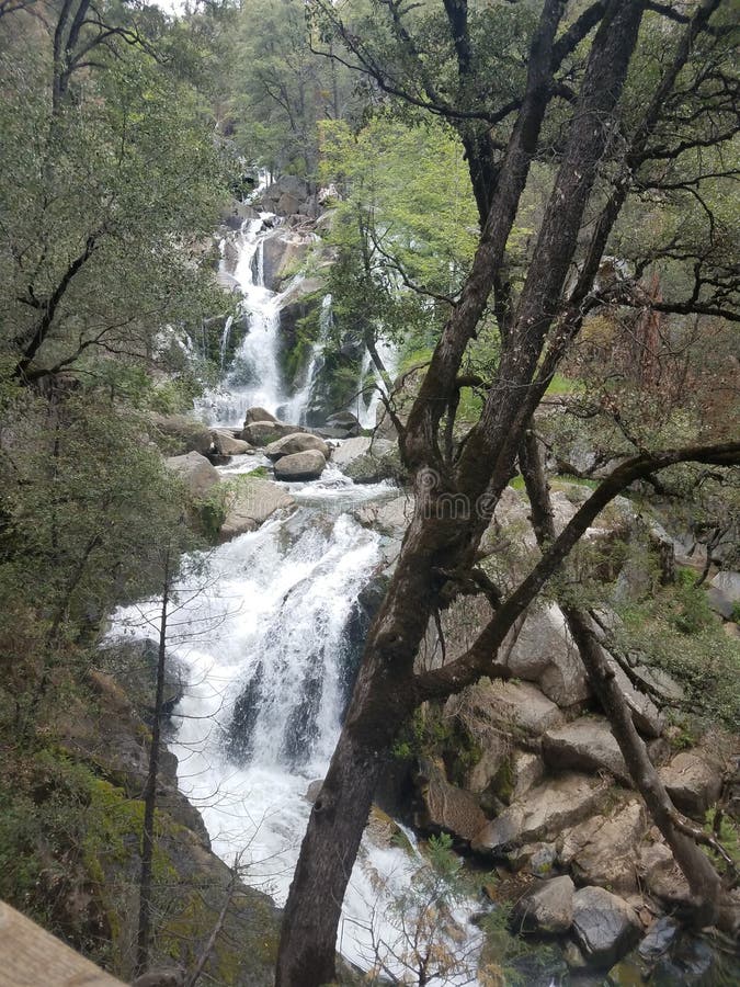 Waterfall through trees stock image. Image of rocks - 146419929