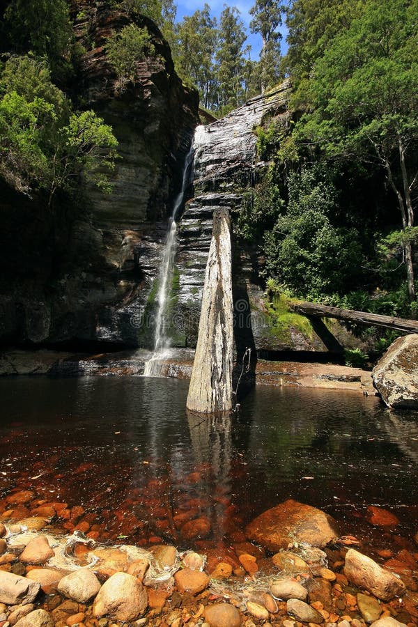 Waterfall through the Trees Stock Image - Image of stone, river: 1390993