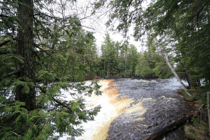 Waterfall through Trees stock image. Image of foreground - 149435101