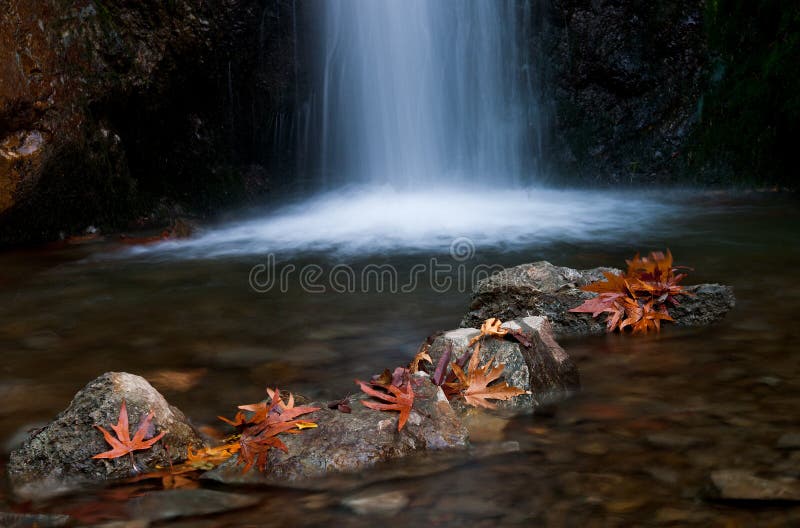 Waterfall, Troodos Cyprus stock image. Image of leaves - 22482025
