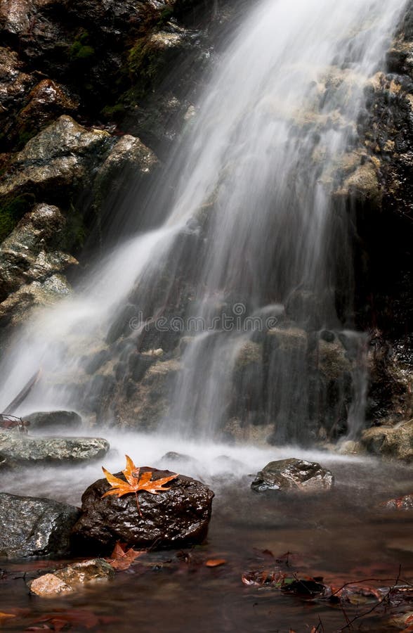 Waterfall, Troodos Cyprus stock image. Image of leaves - 22482025