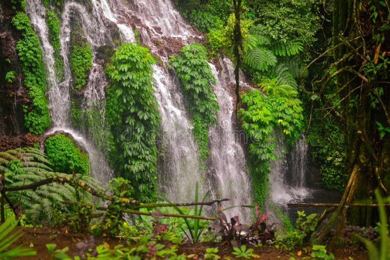 Waterfall in Tropical Climate Stock Photo - Image of tropical ...