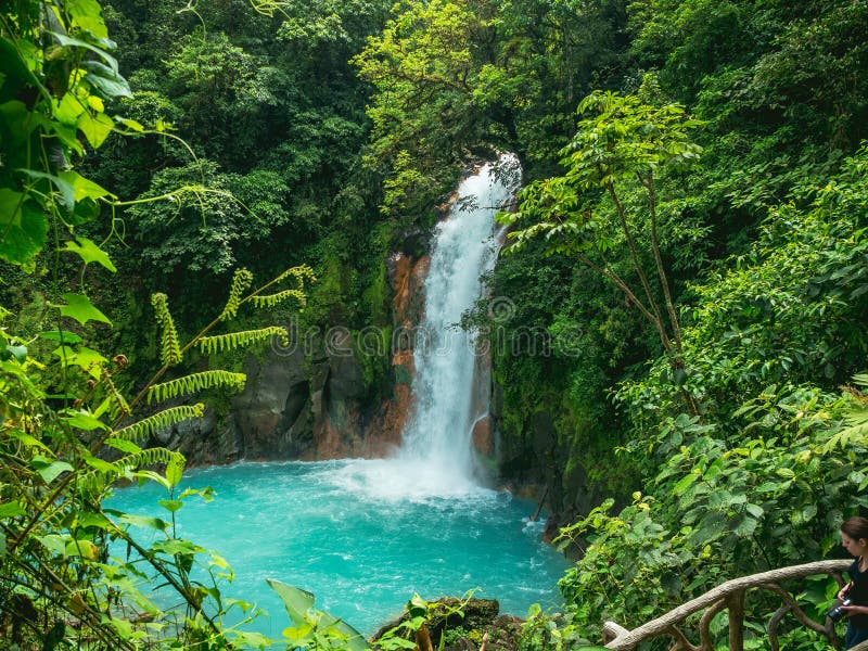 Waterfall in Tropical Forest, Blue Water. Stock Photo - Image of ...