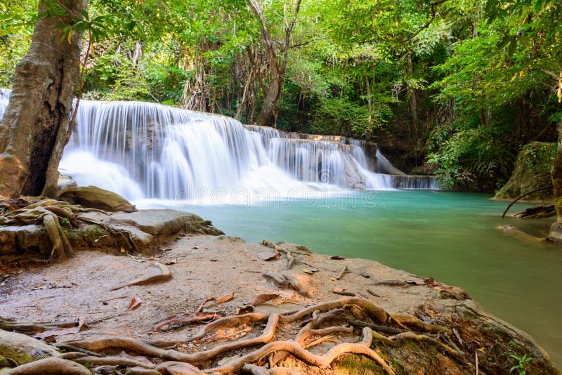 Waterfall in Tropical Forest with Tree Roots Foreground Stock Photo ...