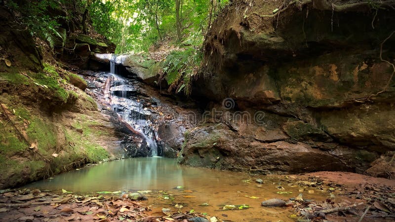 Waterfall in Tropical Forest Stock Image - Image of tropical, small ...