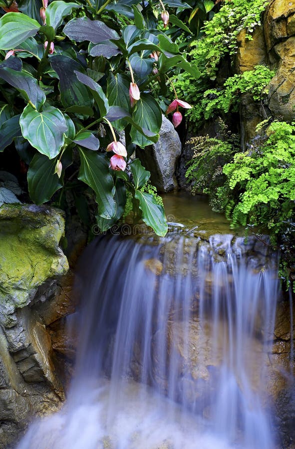 Waterfall in Tropical Garden Stock Photo - Image of garden, colorful ...