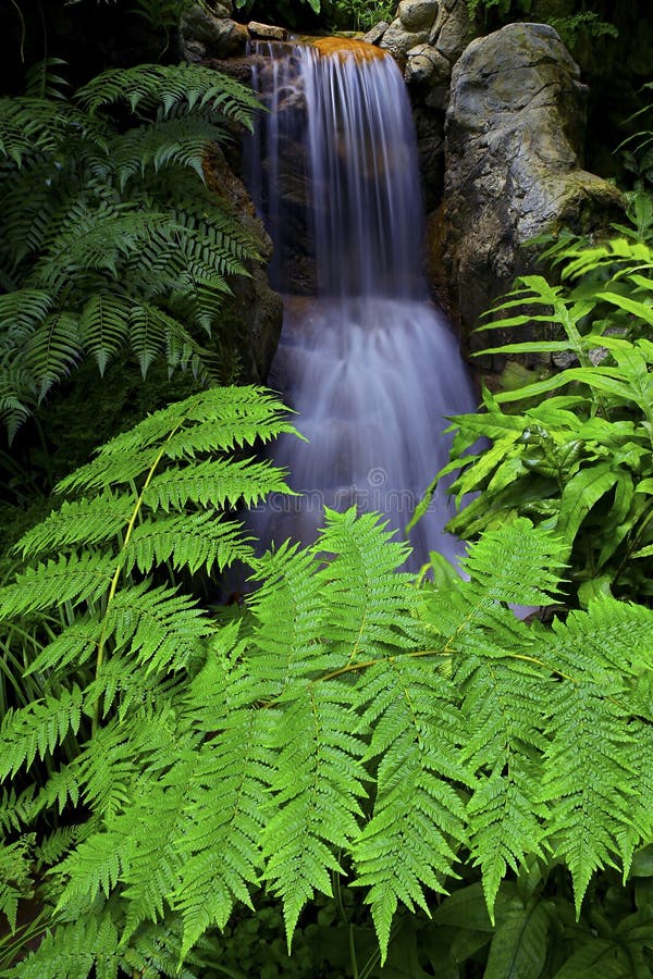 Waterfall in Tropical Garden Stock Photo - Image of garden, colorful ...
