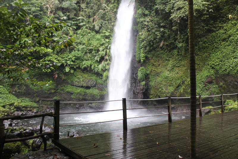 Waterfall in Tropical Green Forest in West Java Indonesia Stock Image ...