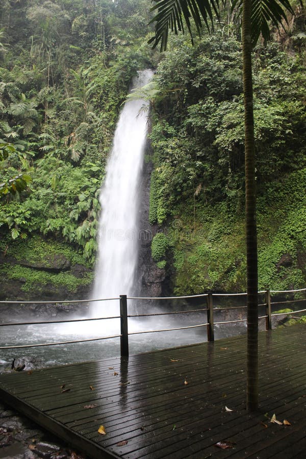 Waterfall in Tropical Green Forest in West Java Indonesia Stock Image ...