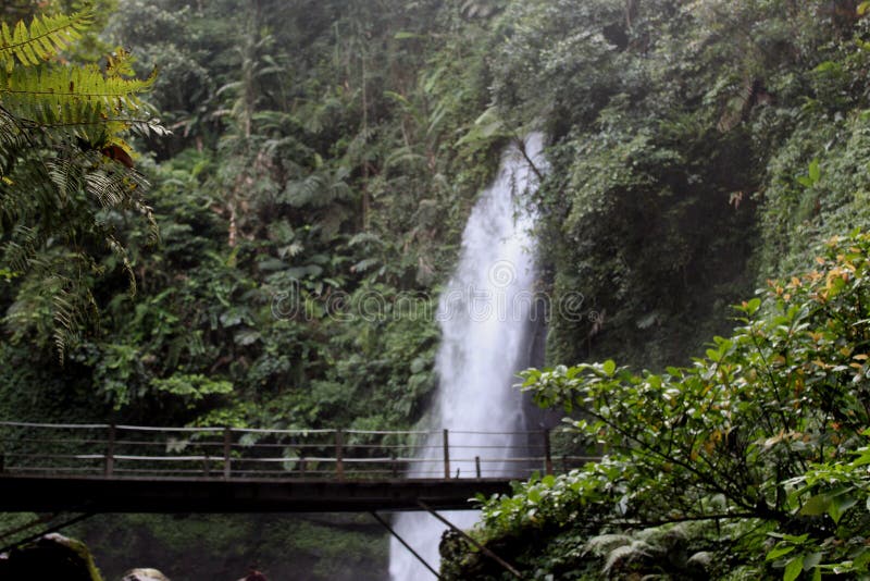 Waterfall in Tropical Green Forest in West Java Indonesia Stock Image ...