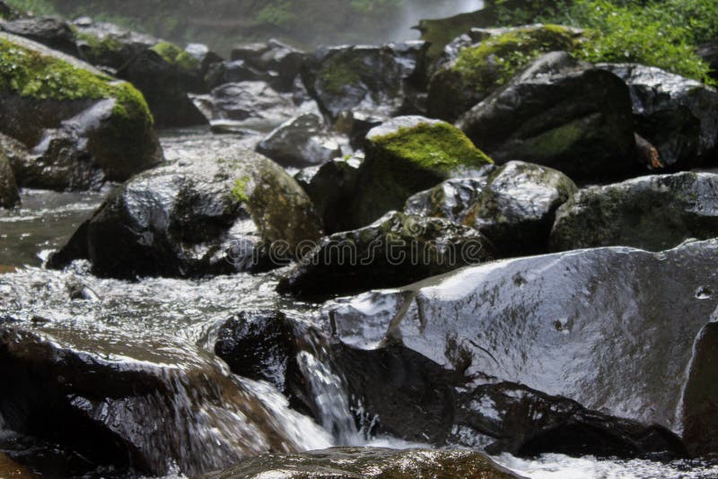 Waterfall in Tropical Green Forest in West Java Indonesia Stock Image ...