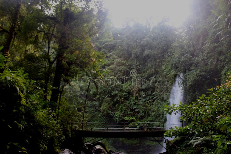Waterfall in Tropical Green Forest in West Java Indonesia Stock Image ...