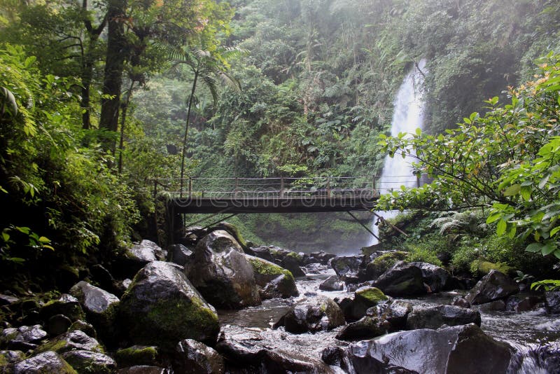 Waterfall in Tropical Green Forest in West Java Indonesia Stock Photo ...
