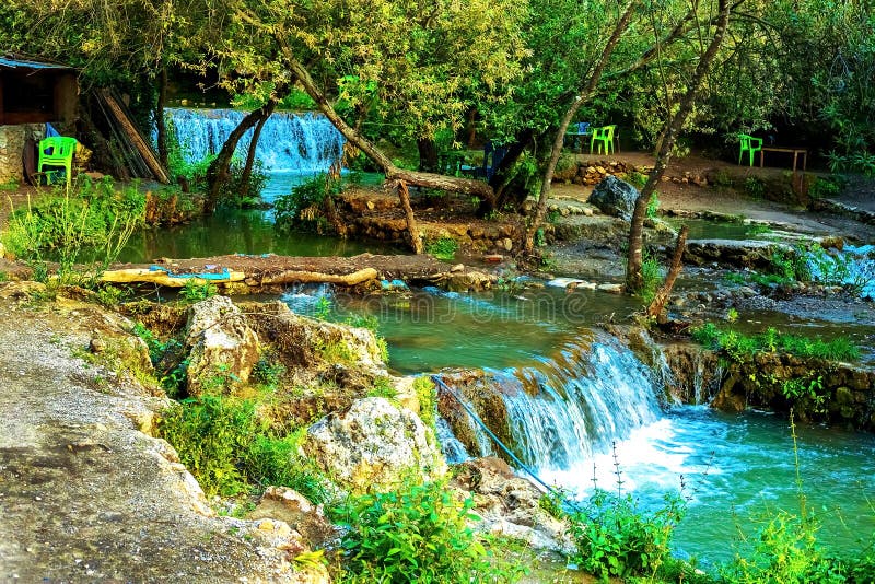 Waterfall in Tropical Green Tree Forest. Waterfall is Flowing in Jungle ...