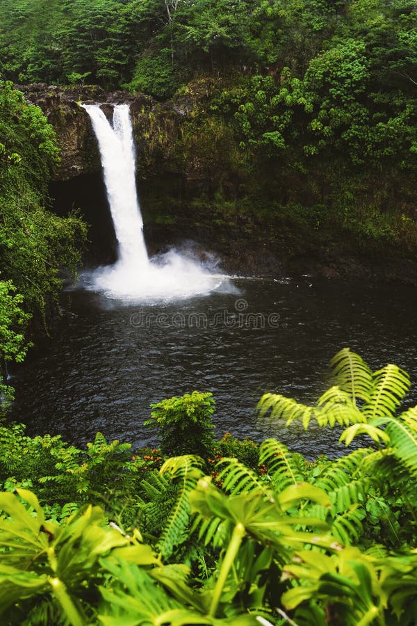Waterfall in Tropical Jungle Stock Photo - Image of green, scenic: 32939684