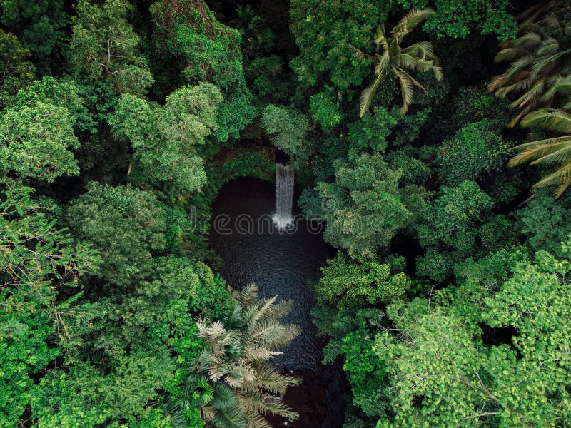 Waterfall in Tropical Forest on Bali Island. Aerial Drone View Stock ...
