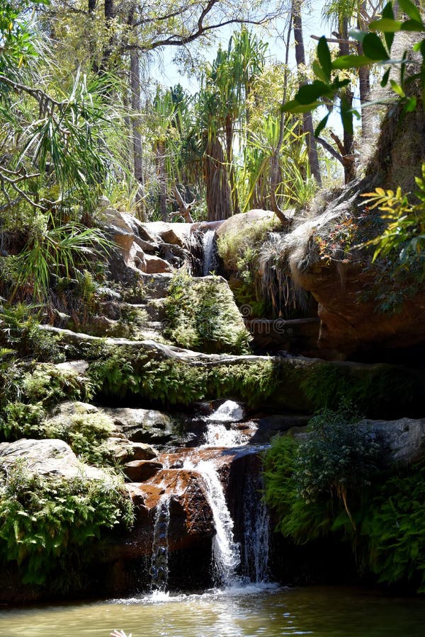 Madagascar Rain Forest Waterfall Stock Photo - Image of landscape ...
