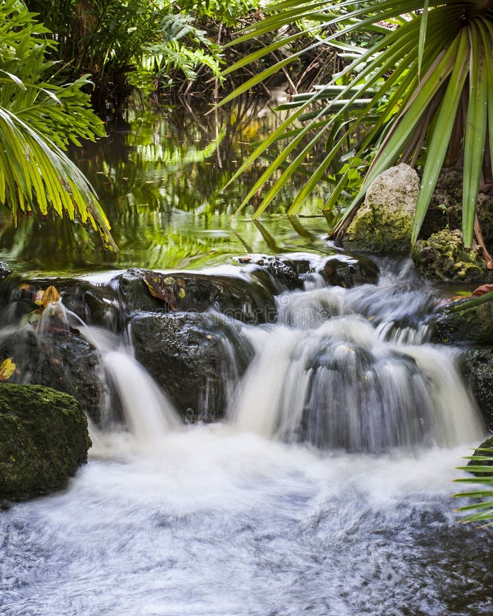 Waterfall in Tropical Stream Stock Photo - Image of green, palmetto ...