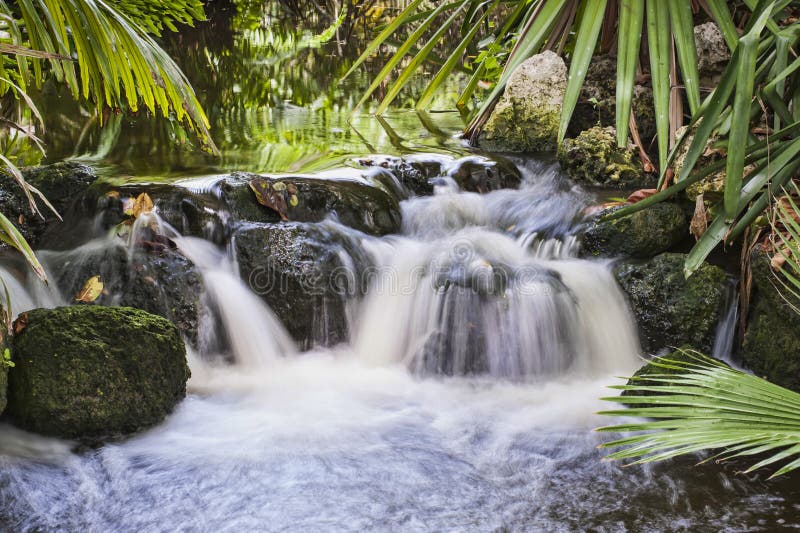 Waterfall in Tropical Stream Stock Image - Image of palmetto, punchbowl ...