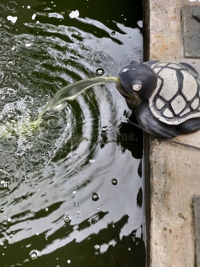 Turtle Wall Waterfall Stock Photos - Free & Royalty-Free Stock Photos ...