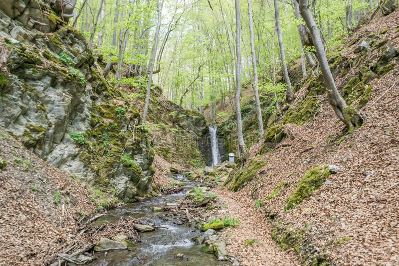 Waterfall between Two Hills in Forest Stock Photo - Image of high ...