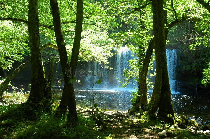 Waterfall in Sunny Forest UK Stock Image - Image of landscape, river ...