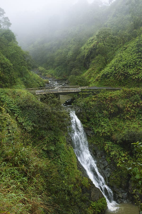 Waterfall under a bridge. stock photo. Image of forest - 2044484
