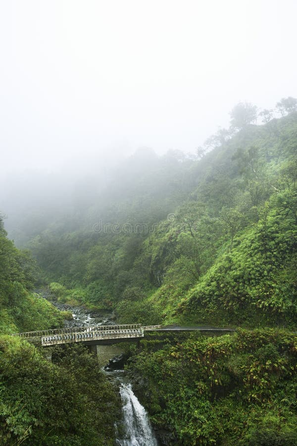 Waterfall under a bridge. stock photo. Image of forest - 2044484