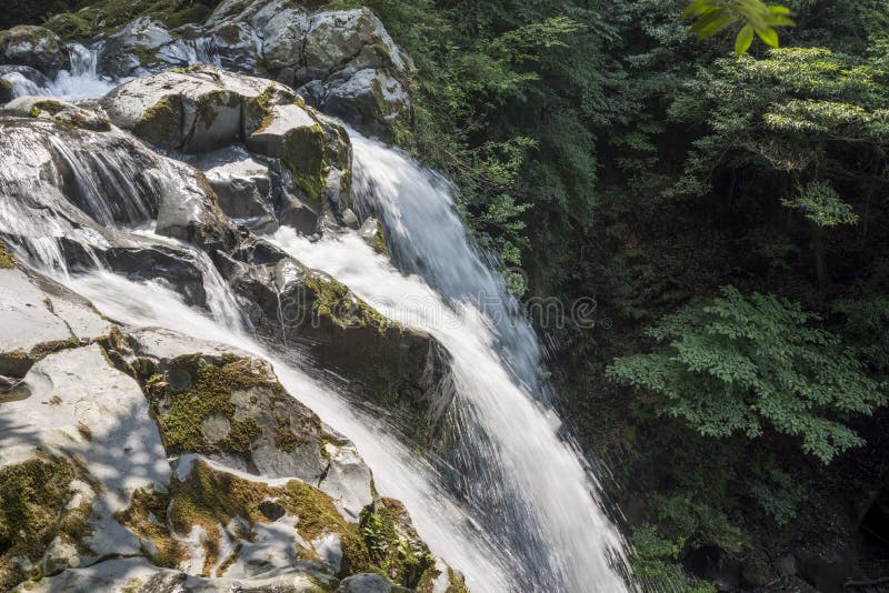 Waterfall upper side stock photo. Image of nature, plant - 124526160