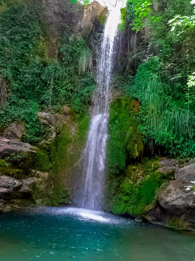 A waterfall in the valley stock image. Image of jungle - 264820741