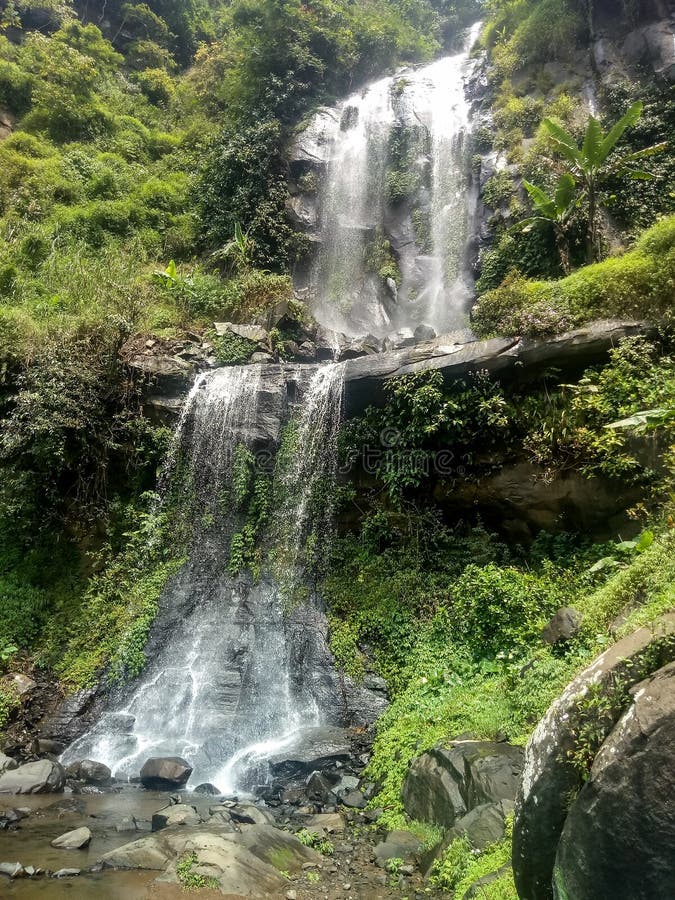 Waterfall in Valley with Green Wild Plants Stock Photo - Image of water ...