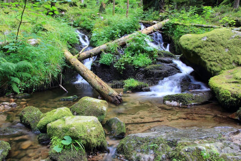 Waterfall of the Valley of Munster Stock Photo - Image of bridges, path ...