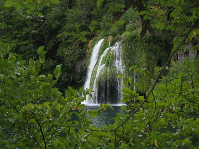 Waterfall, Vegetation, Nature, Nature Reserve Picture. Image: 122108480