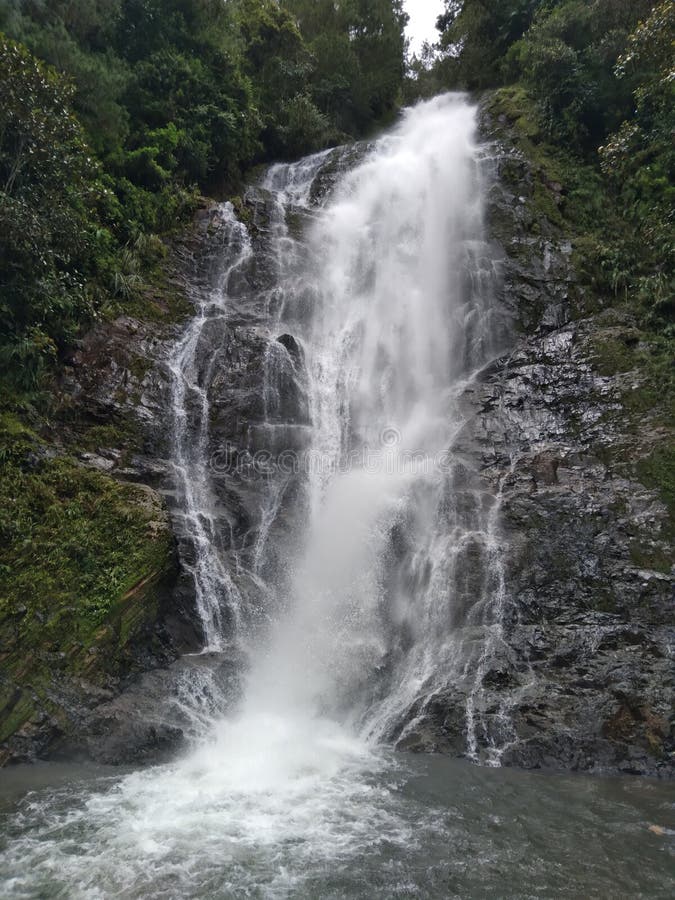 Waterfall vie stock photo. Image of canopy, dramatic - 325534794